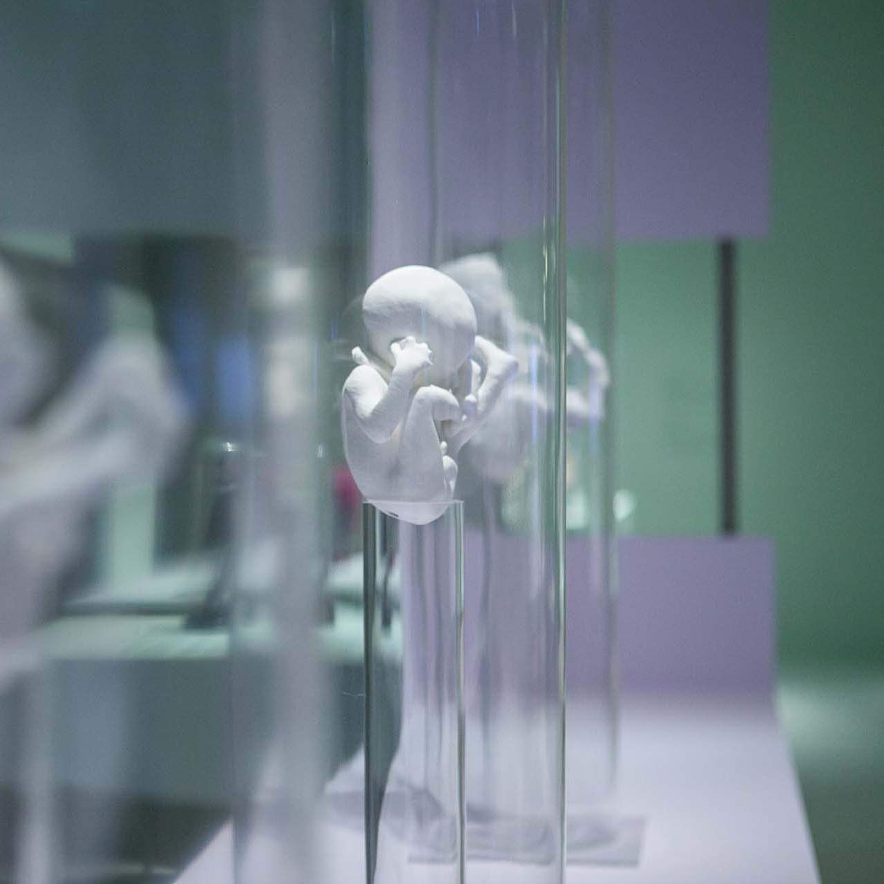 Projetos – Biodesign Lab | PUC-Rio